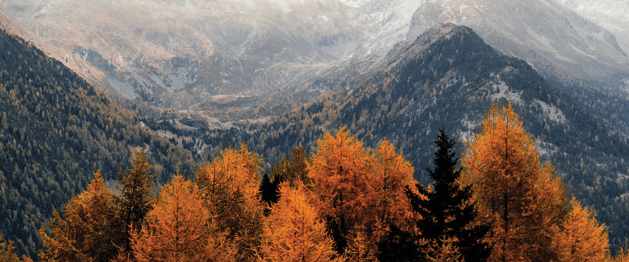 Heavenly Habits: 4 Tips for Forging a God-Centered Gospel - Leading The ...