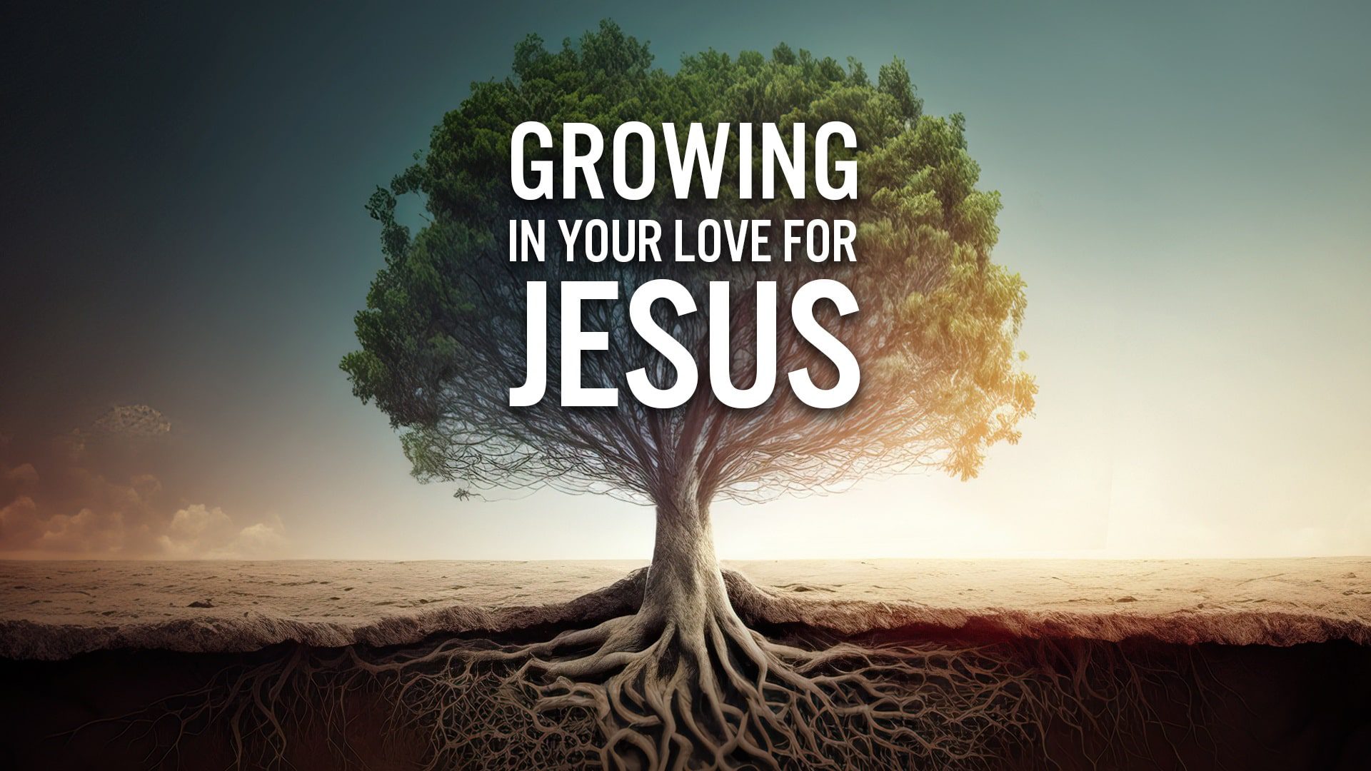 Love Jesus with Your All - Leading The Way Australia
