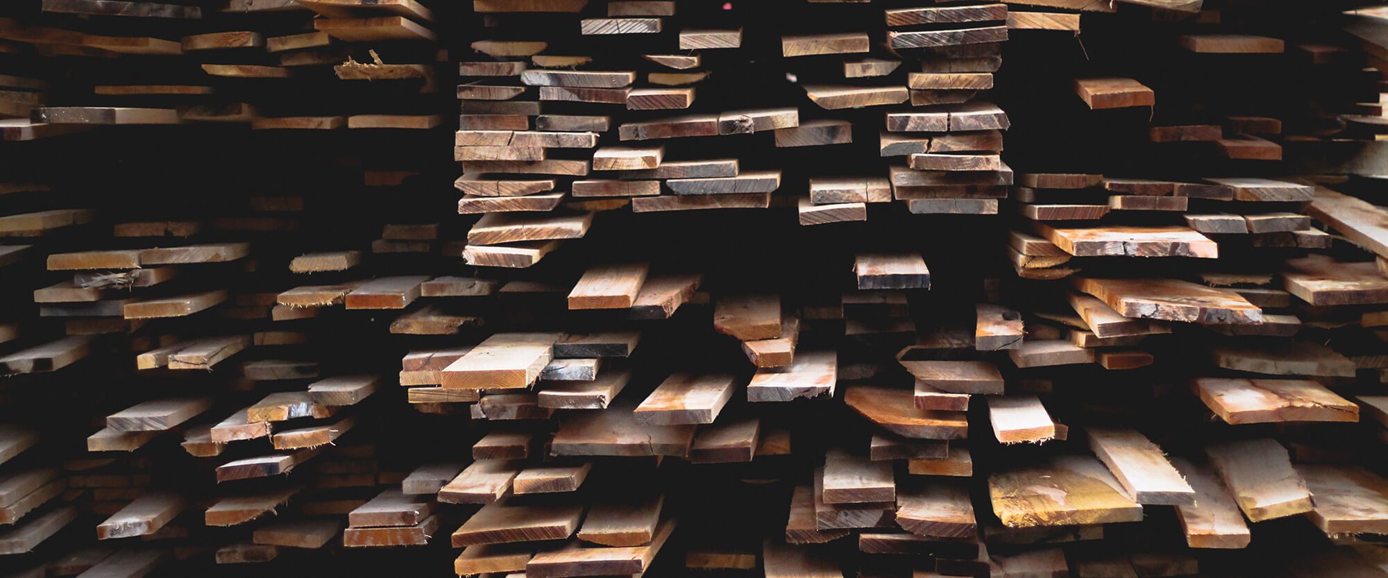 The Plank in Your Eye - Leading The Way Australia