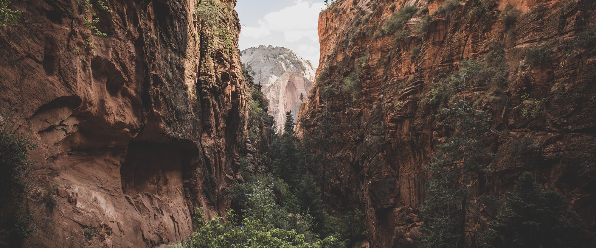 The Boldness of Elijah - Leading The Way Australia